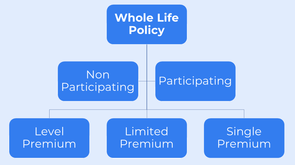 Whole Life Insurance Plan: A Lifetime Assurance!